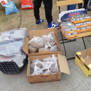 Breaking news Ukraine - ROLDA ️ ROLDA UK