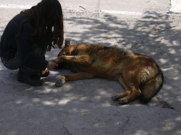 Meet the founder ️ ROLDA UK