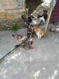 Breaking news Ukraine - ROLDA ️ ROLDA UK