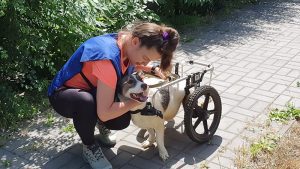 Breaking news Ukraine - ROLDA ️ ROLDA UK